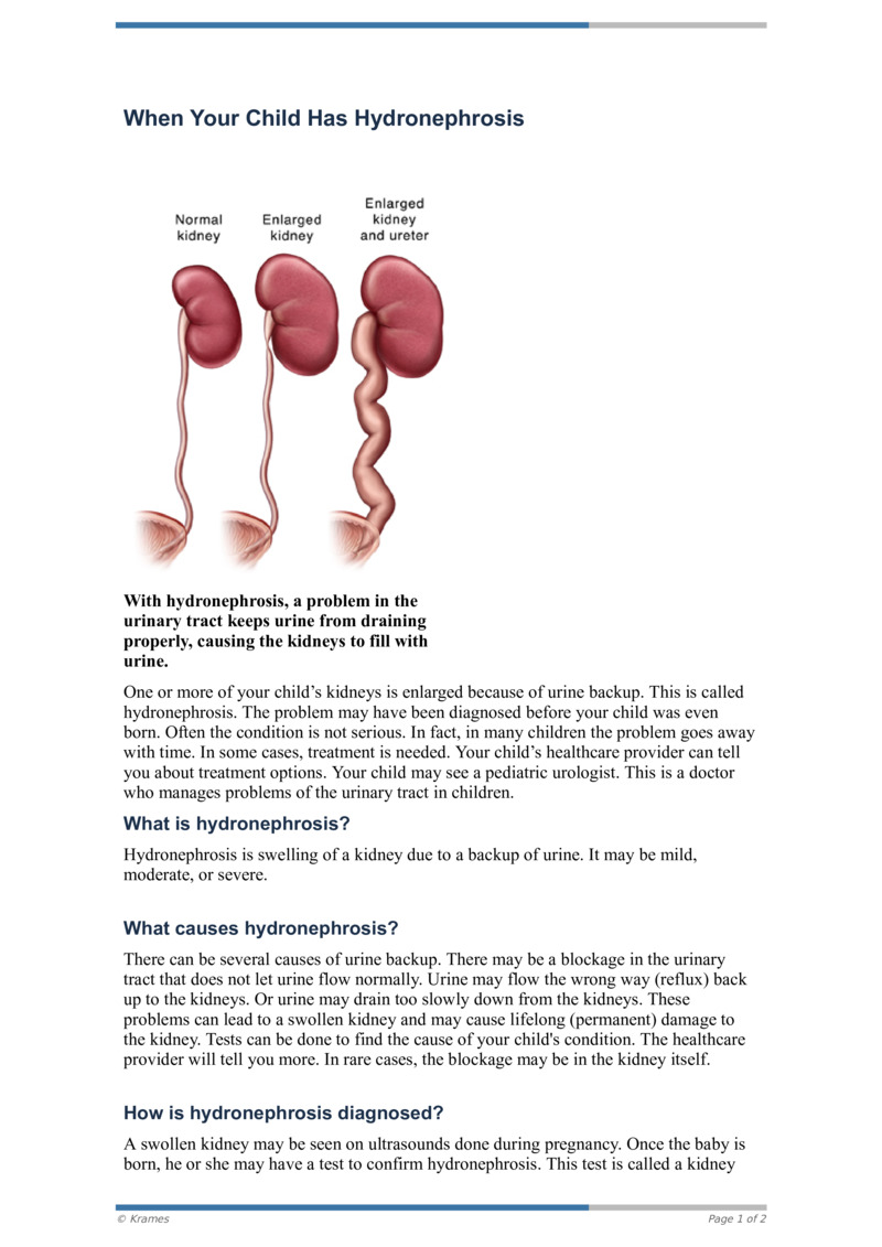 PDF - When Your Child Has Hydronephrosis - HealthClips Online