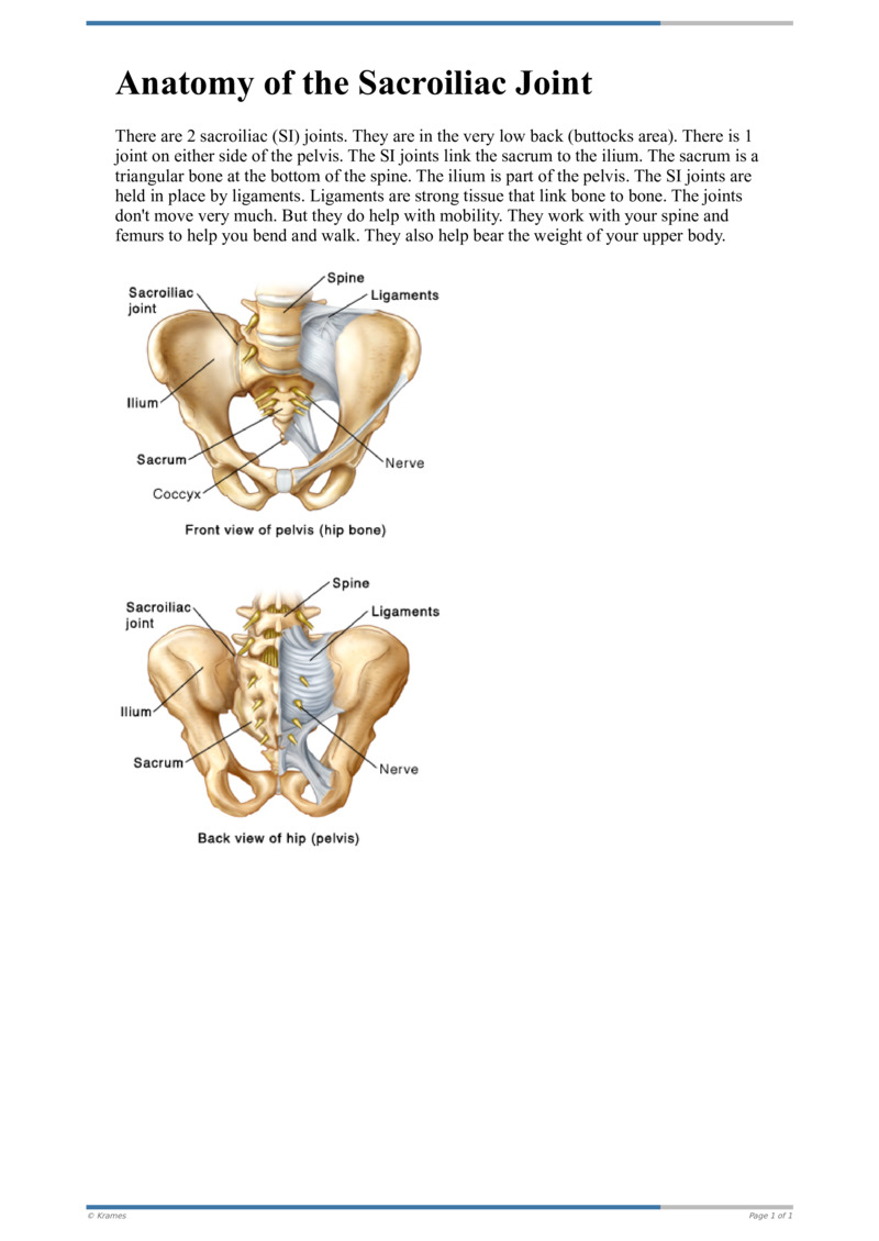 PDF - Anatomy of the Sacroiliac Joint - HealthClips Online