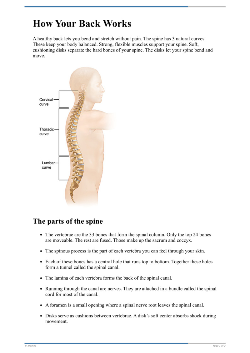 Text - How Your Back Works - HealthClips Online