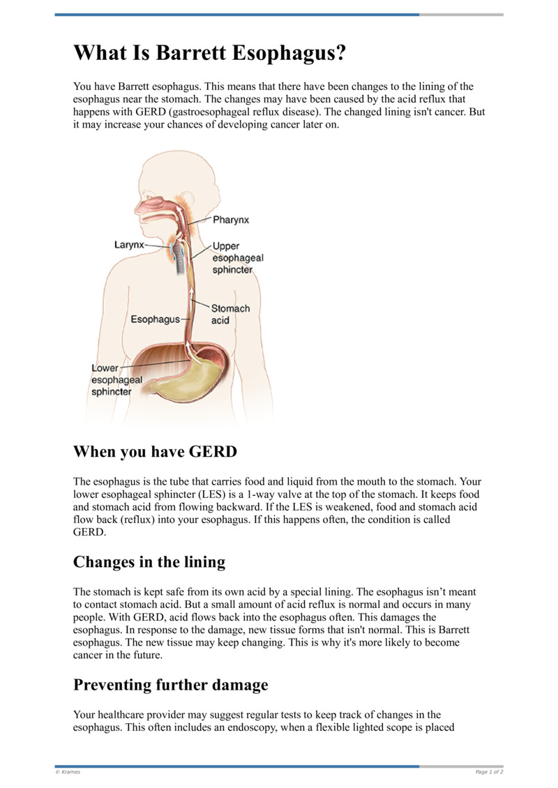 Text - What Is Barrett Esophagus? - HealthClips Online