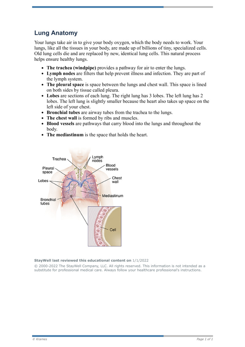 PDF - Lung Anatomy - HealthClips Online