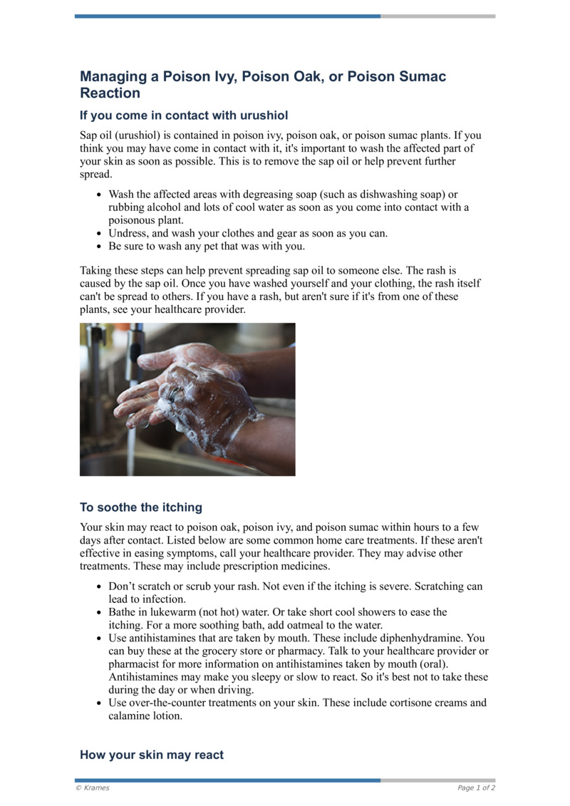 Sumac Reaction at Doreen Woods blog