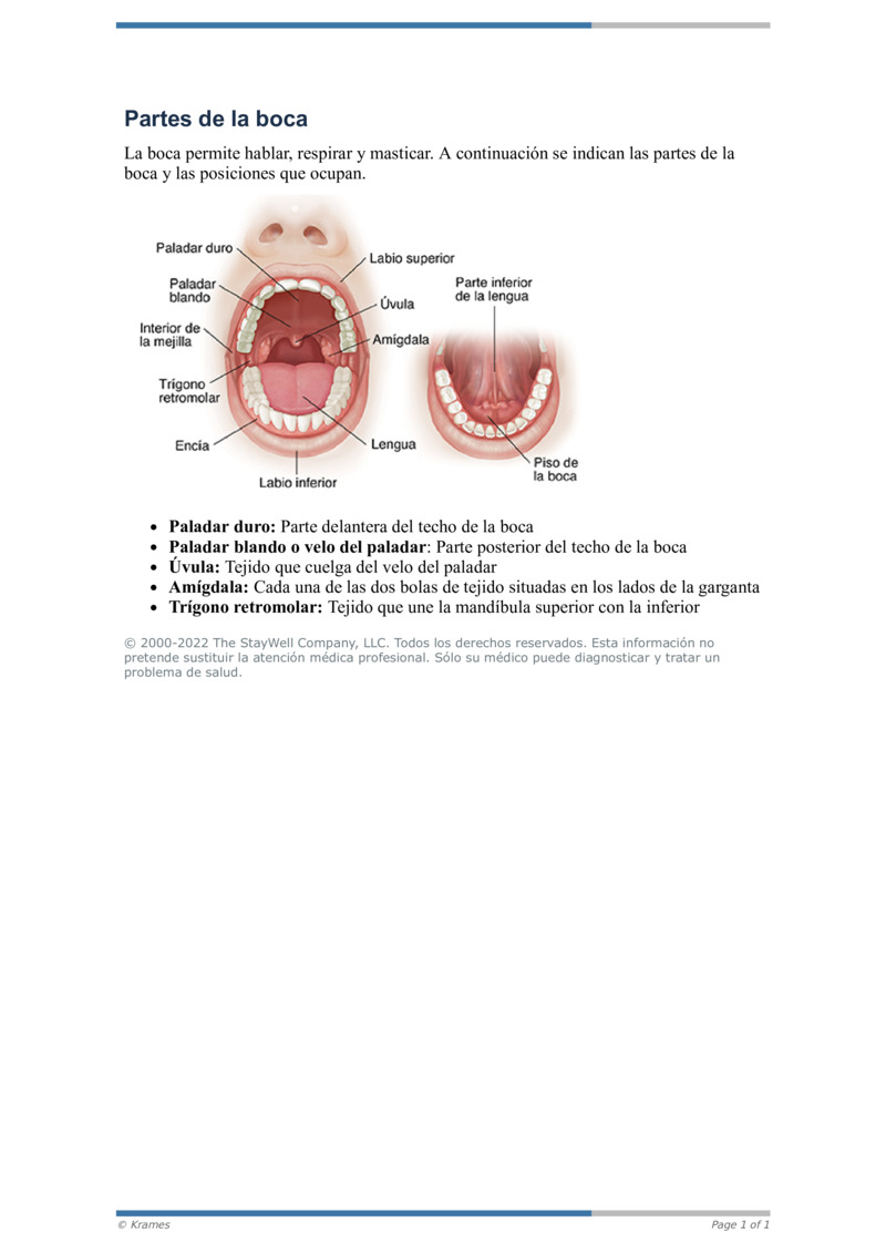 PDF - Partes de la boca - HealthClips Online