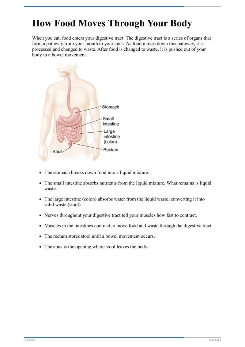 Text - How Food Moves Through Your Body - HealthClips Online