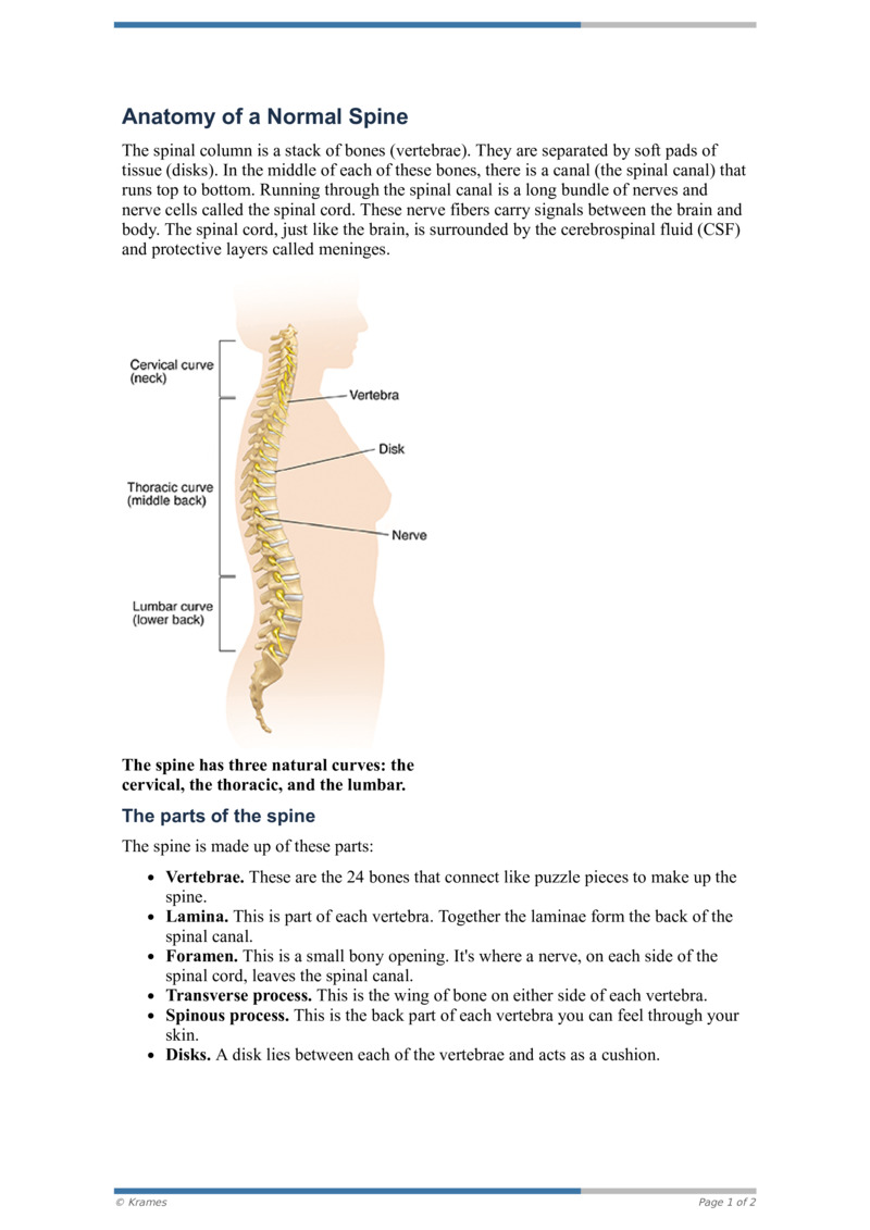 PDF - Anatomy of a Normal Spine - HealthClips Online