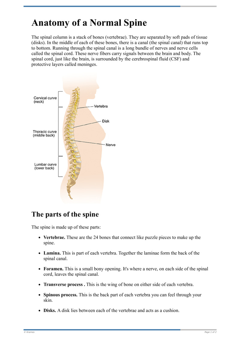 Text - Anatomy of a Normal Spine - HealthClips Online
