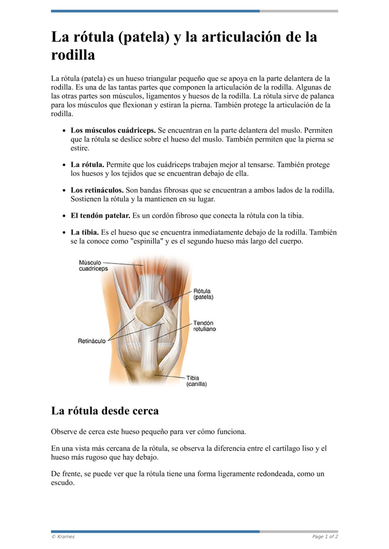 Text - La rótula (patela) y la articulación de la rodilla - HealthClips ...