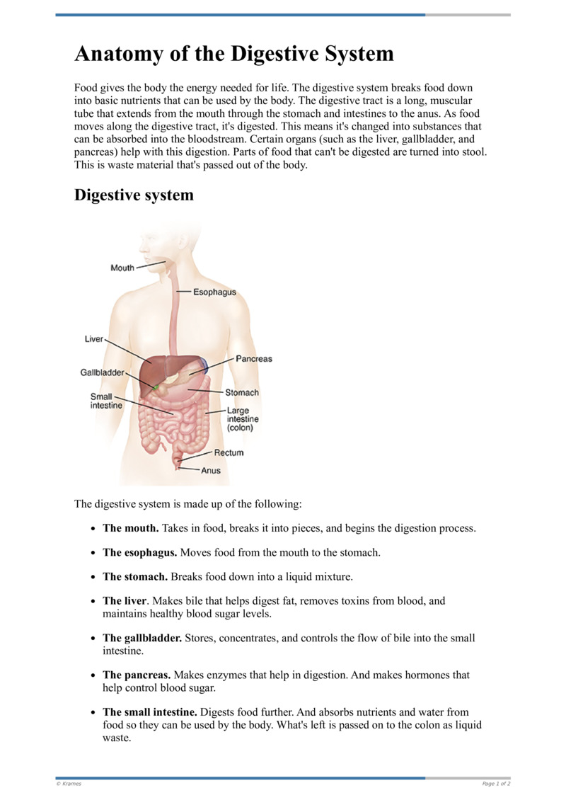 Text - Anatomy of the Digestive System - HealthClips Online