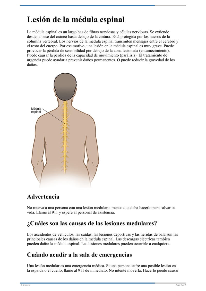 Text - Lesión de la médula espinal - HealthClips Online