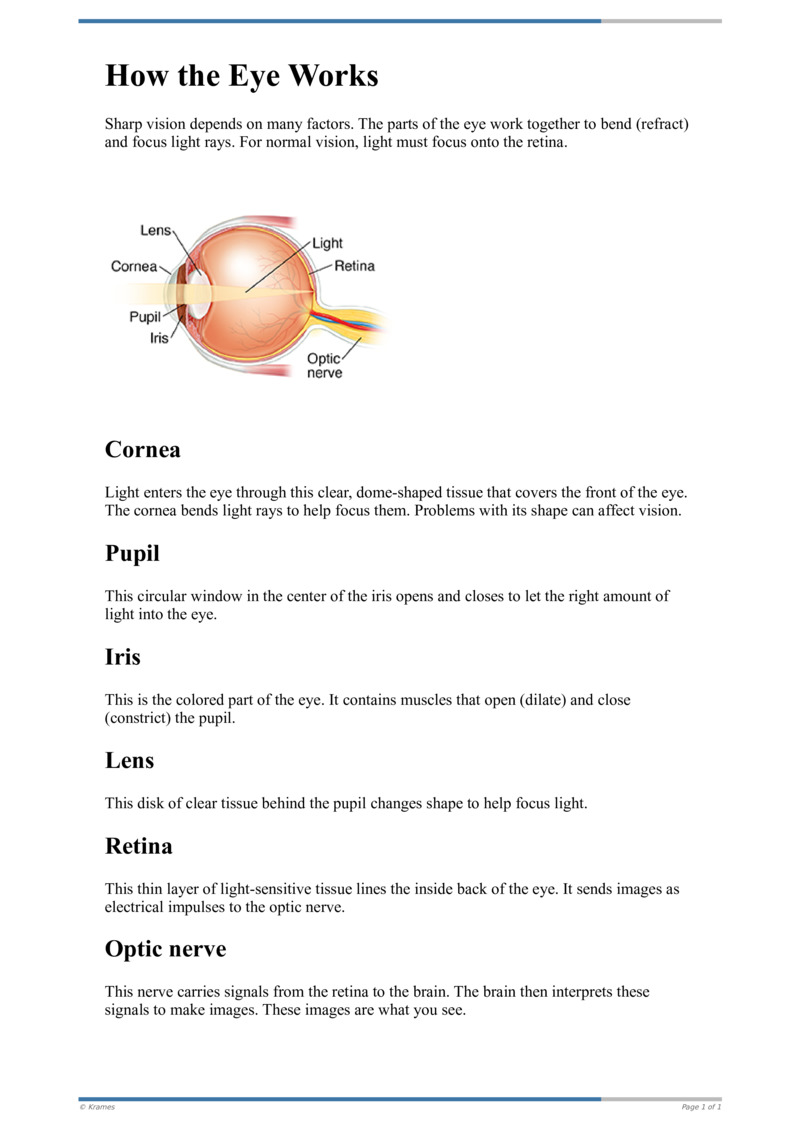 Text - How the Eye Works - HealthClips Online