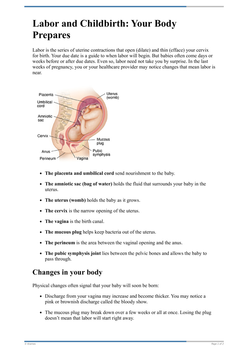 Text - Labor and Childbirth: Your Body Prepares - HealthClips Online