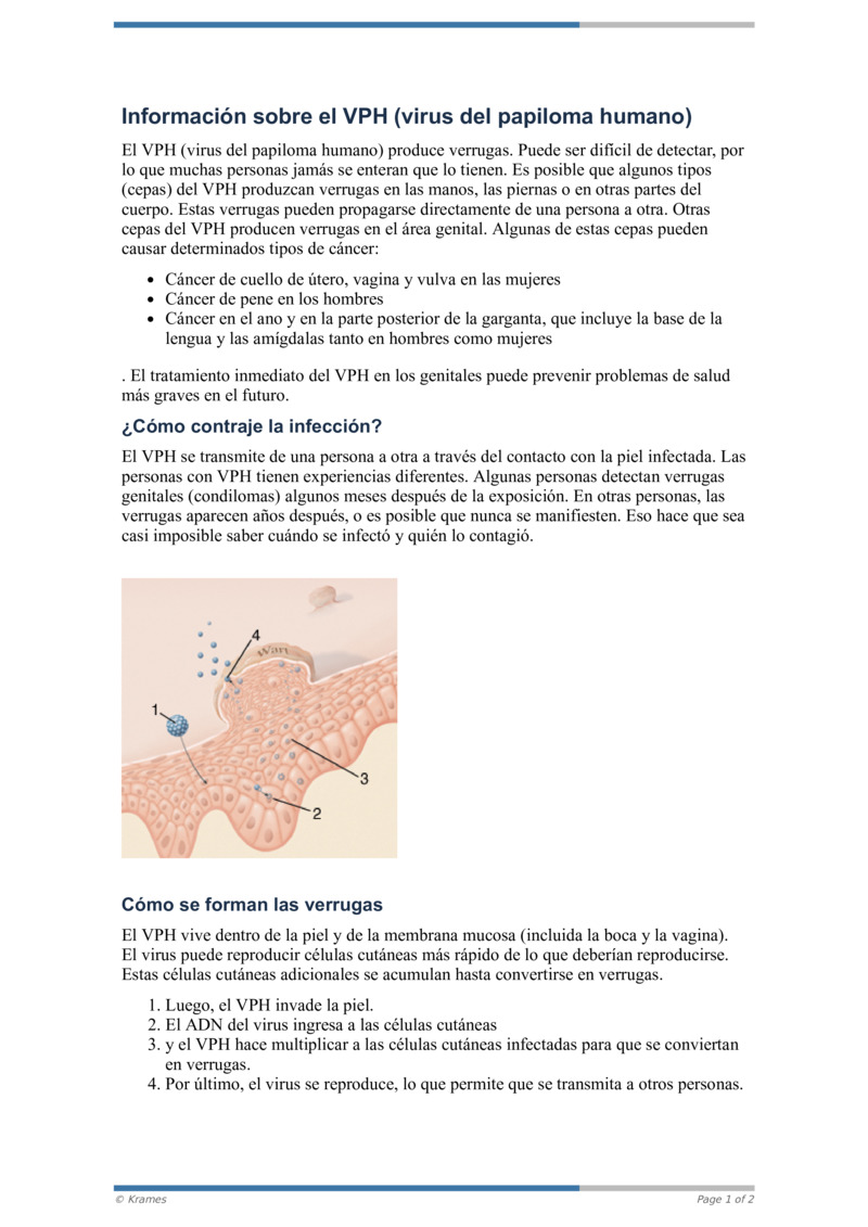 PDF - Informació n sobre el VPH (virus del papiloma humano ...