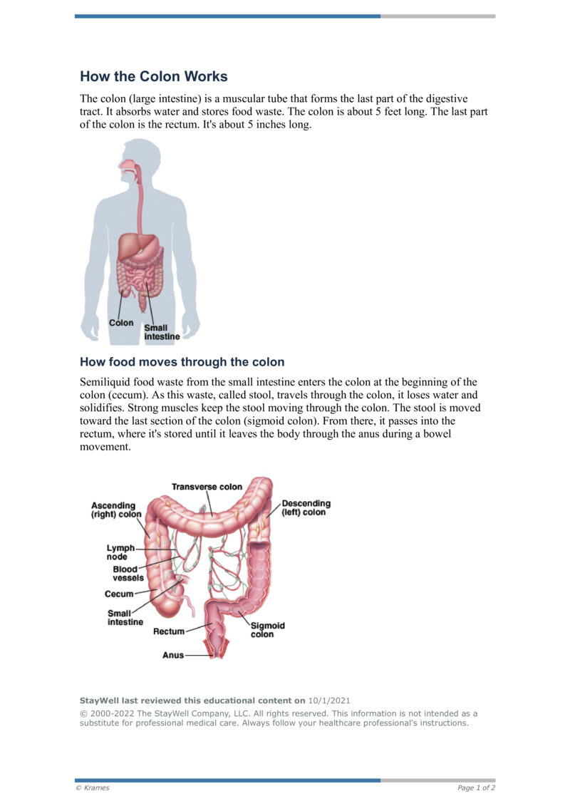 PDF - How the Colon Works - HealthClips Online