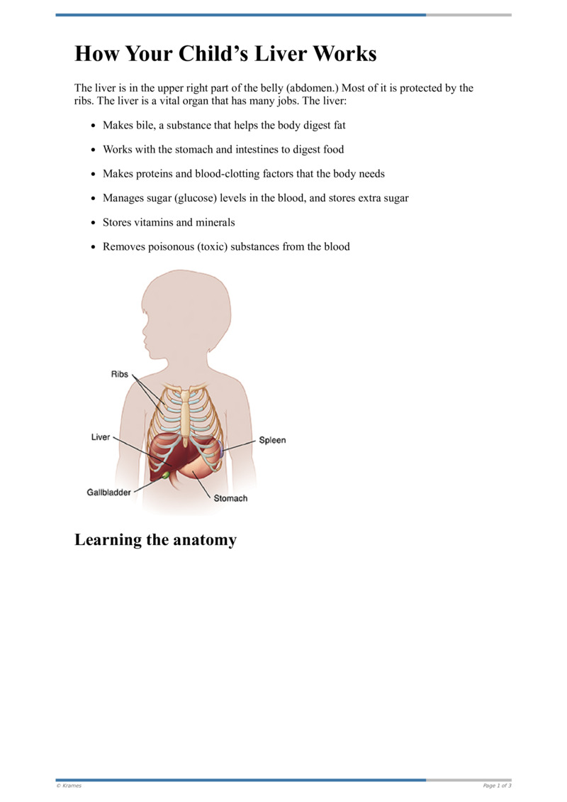 Text - How Your Child's Liver Works - HealthClips Online