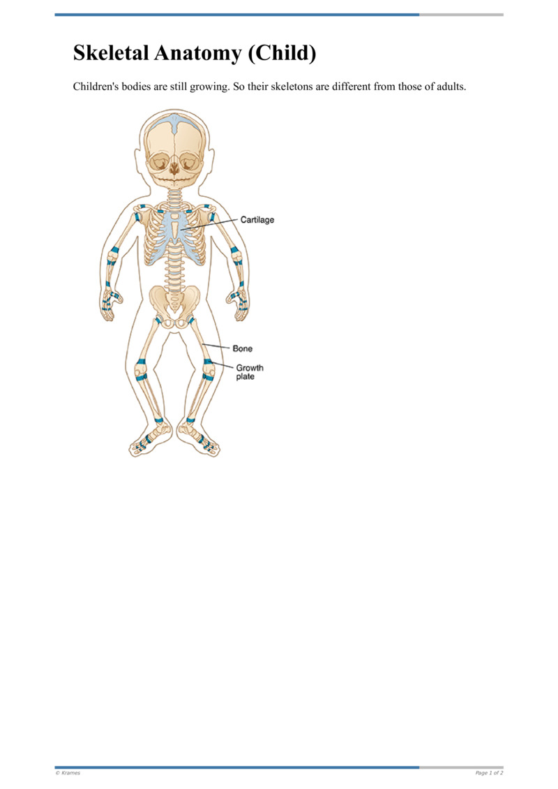 PDF - Skeletal Anatomy (Child) - HealthClips Online