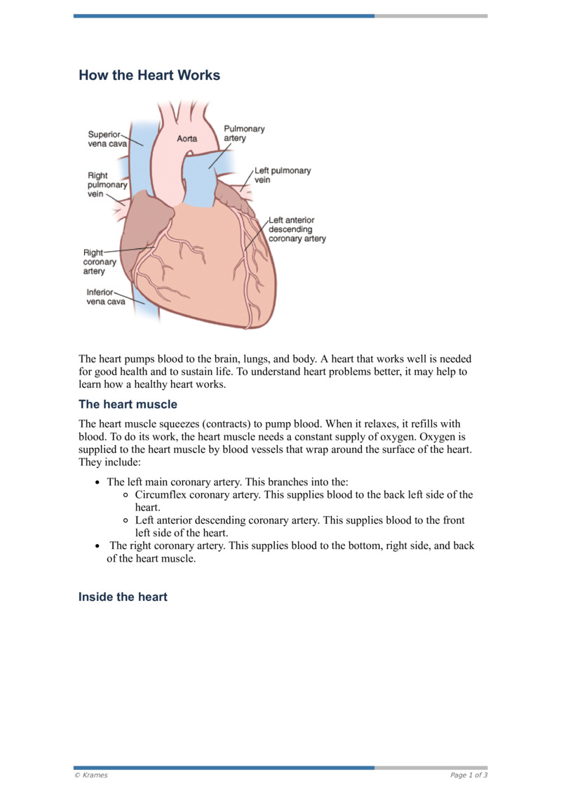 PDF - How the Heart Works - HealthClips Online