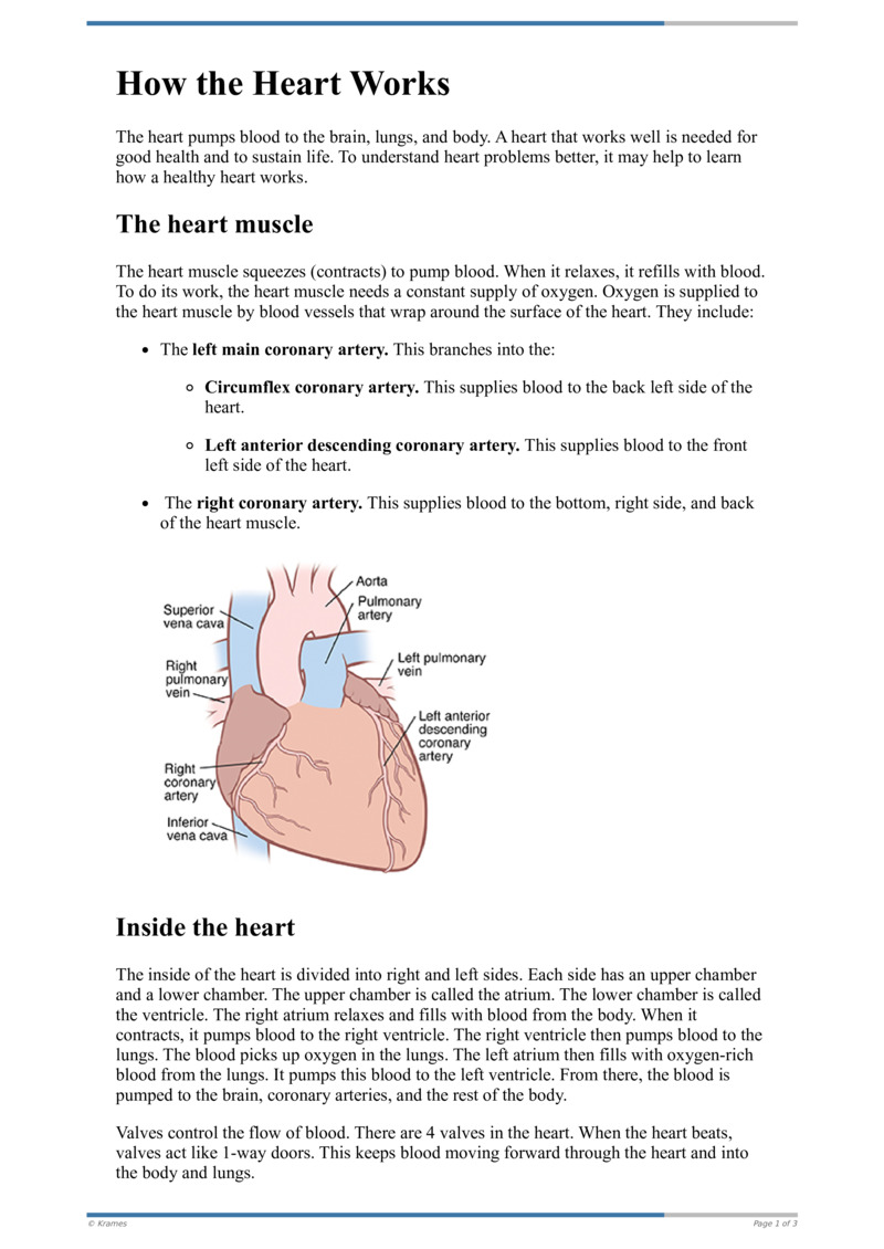 Text - How the Heart Works - HealthClips Online