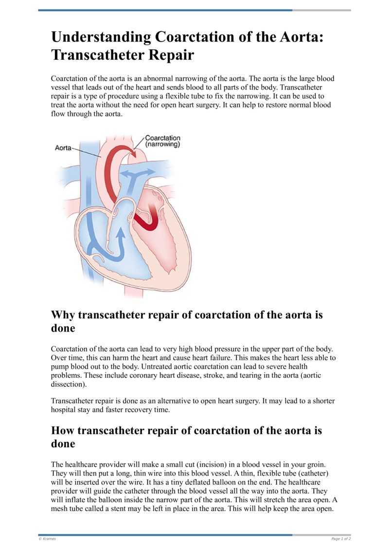 Text - Understanding Coarctation of the Aorta: Transcatheter Repair ...