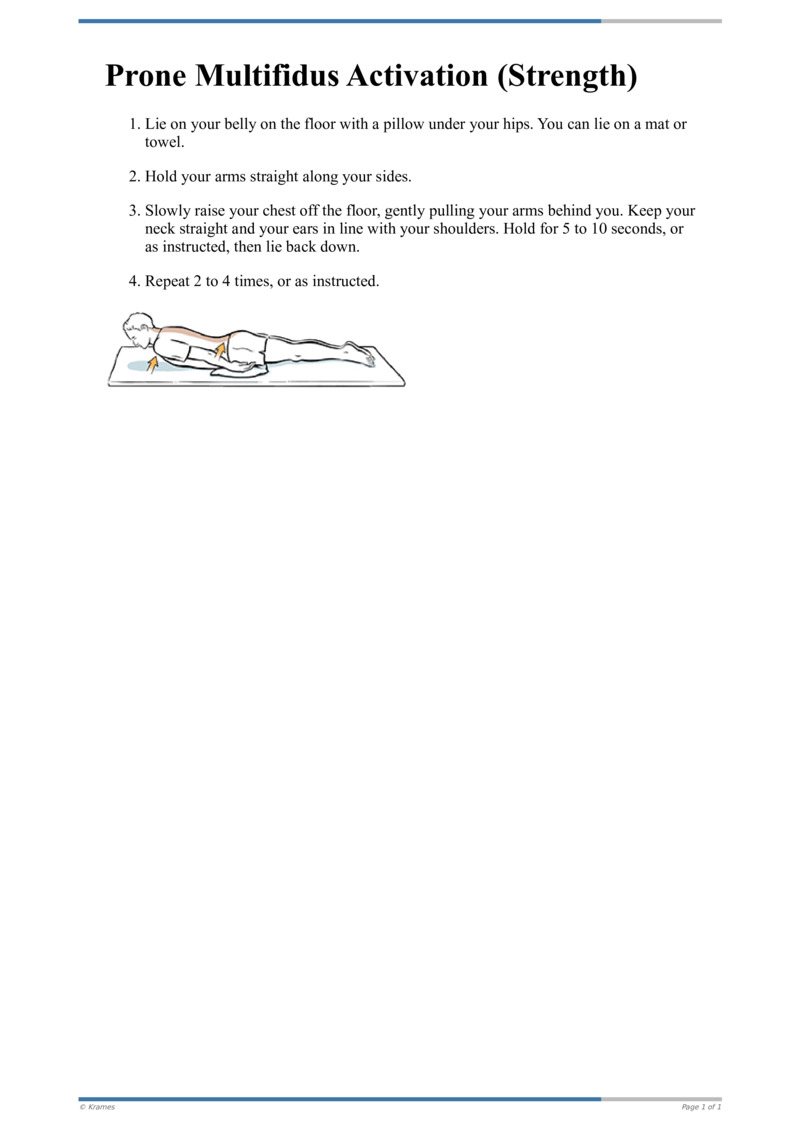 PDF - Prone Multifidus Activation (Strength) - HealthClips Online