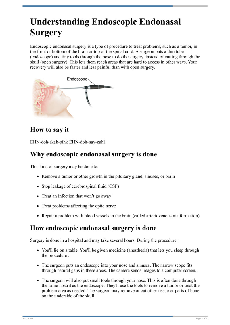 Text - Understanding Endoscopic Endonasal Surgery - HealthClips Online