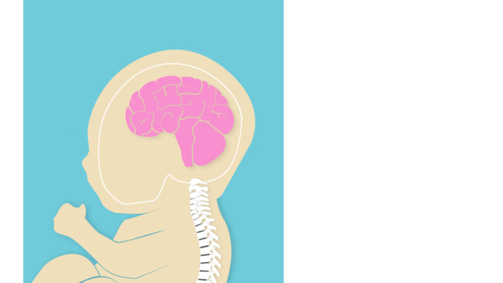 Video - Keeping Baby Safe: Preventing Head Injuries - HealthClips Online