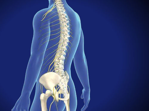 Video - Epiduroscopia - HealthClips Online