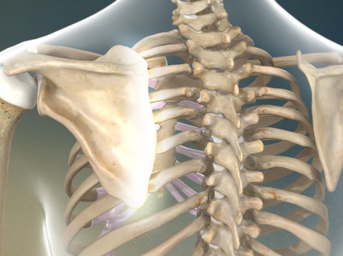 Video - Snapping Scapula Syndrome - HealthClips Online
