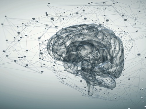 Video - Keeping Your Mind Active as You Age - HealthClips Online