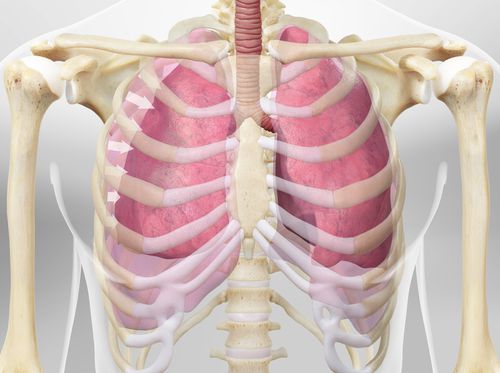 Video - Colapso pulmonar (neumotórax) - HealthClips Online