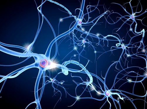 Video - Epilepsy - HealthClips Online